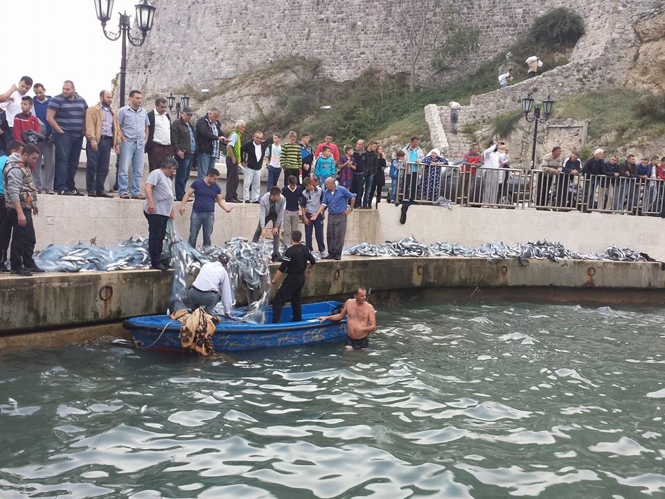 Peshkatarët e Ulqinit nxjerrin rreth dy tonelata qefull (FOTO+VIDEO ...