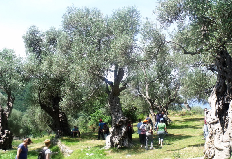 Ullishtarët tanë duhet të mësojnë nga ato të Spanjës | Lajme nga Ulqini